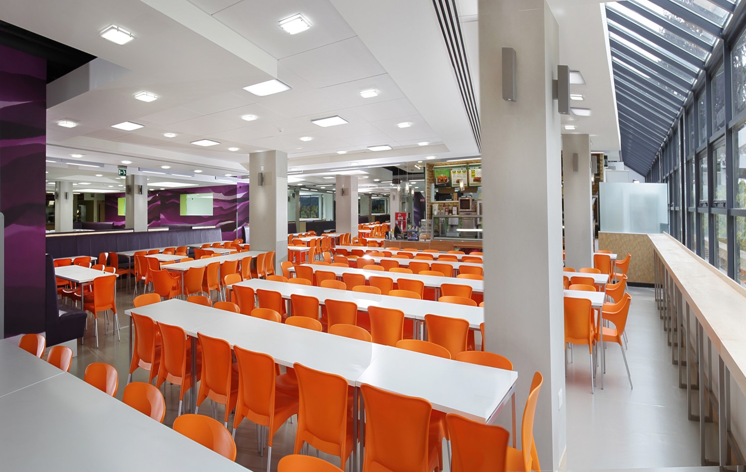 Summer STEAM Programme Galway – Future Learning Language School